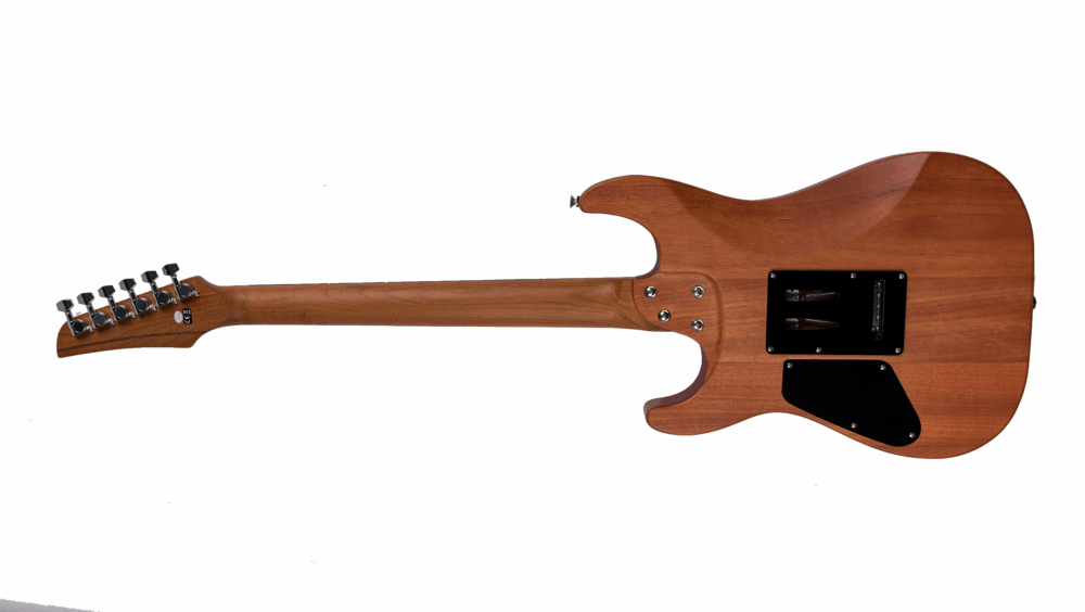 Guitarra Seizi Katana Blessed Patrick Souza Signature « Royal Music